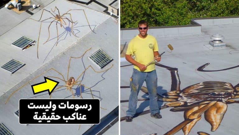 5 فنانين استخدموا مواهبهم في العبث والخداع